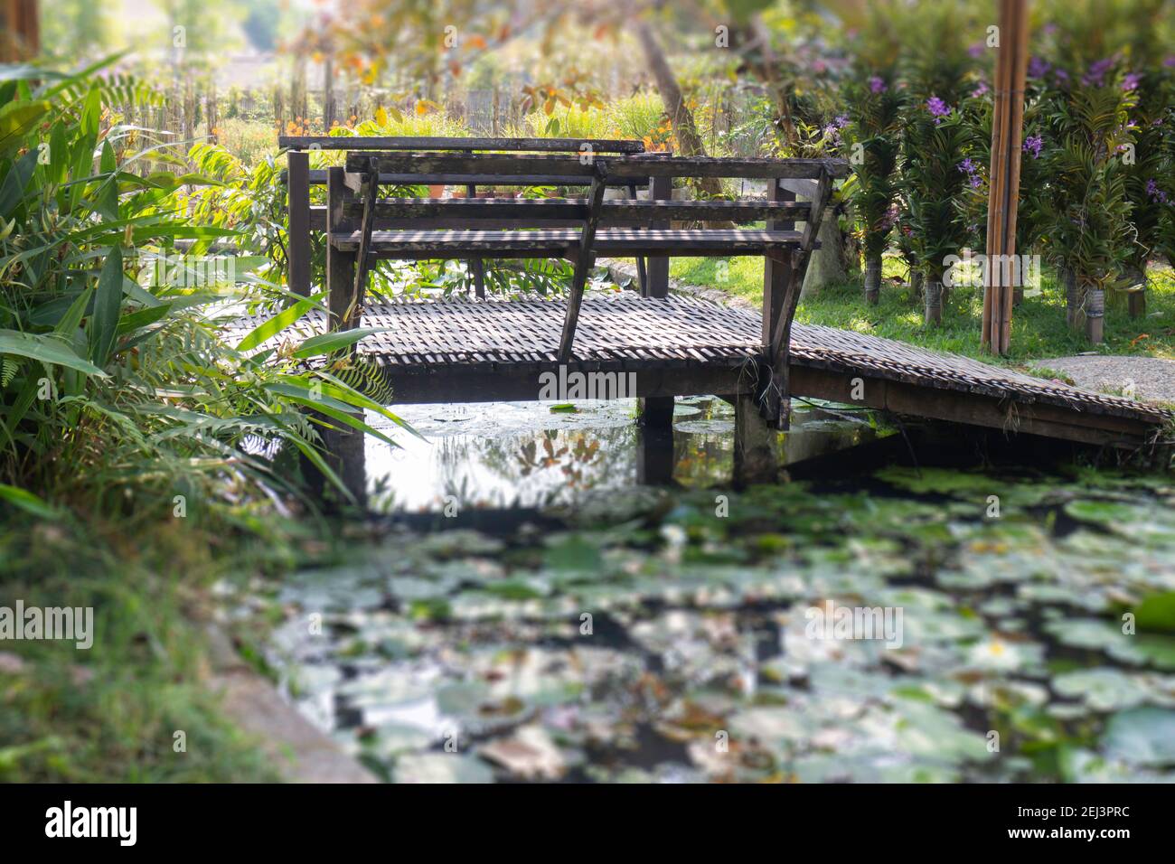 Simple resort furniture seat setting arrangement, stock photo Stock ...