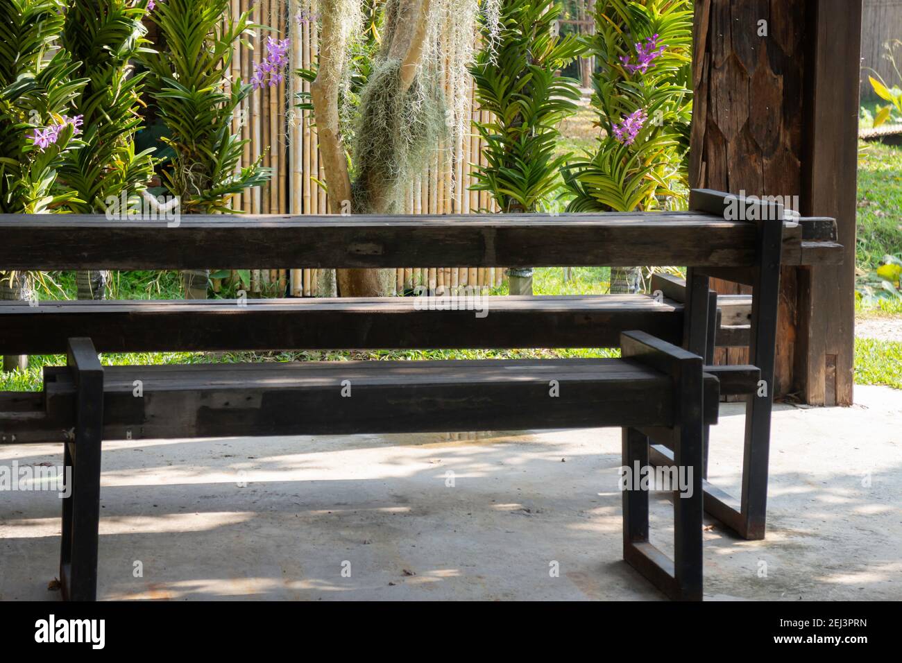 Simple resort furniture seat setting arrangement, stock photo Stock ...