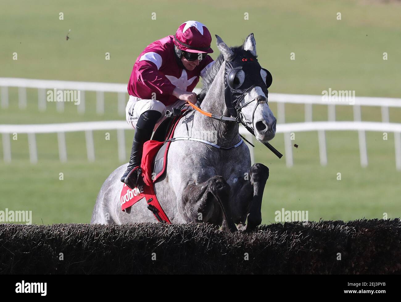Coko beach horse hi-res stock photography and images - Alamy