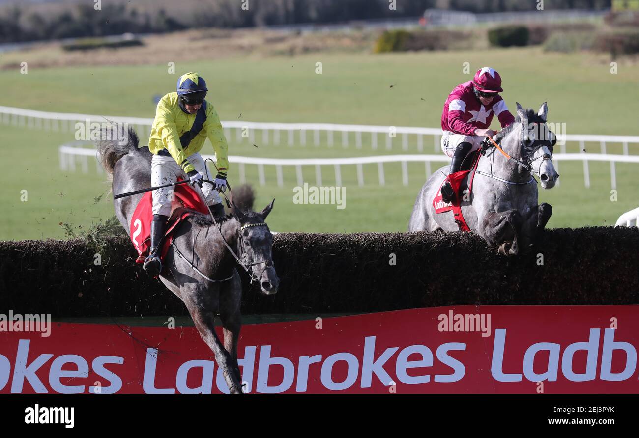 Coko beach horse hi-res stock photography and images - Alamy