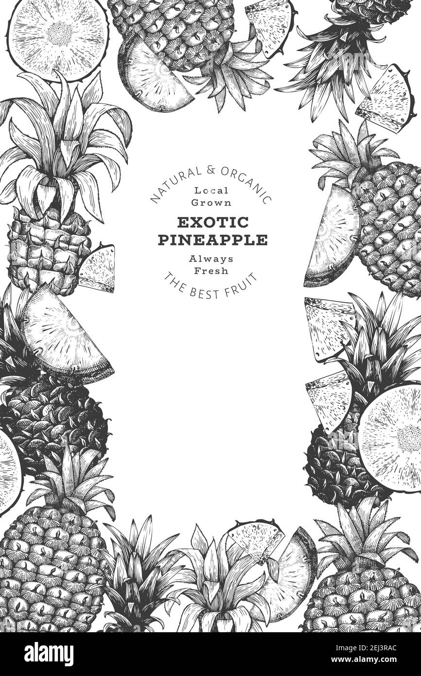Hand drawn sketch style pineapple banner. Organic fresh fruit vector ...