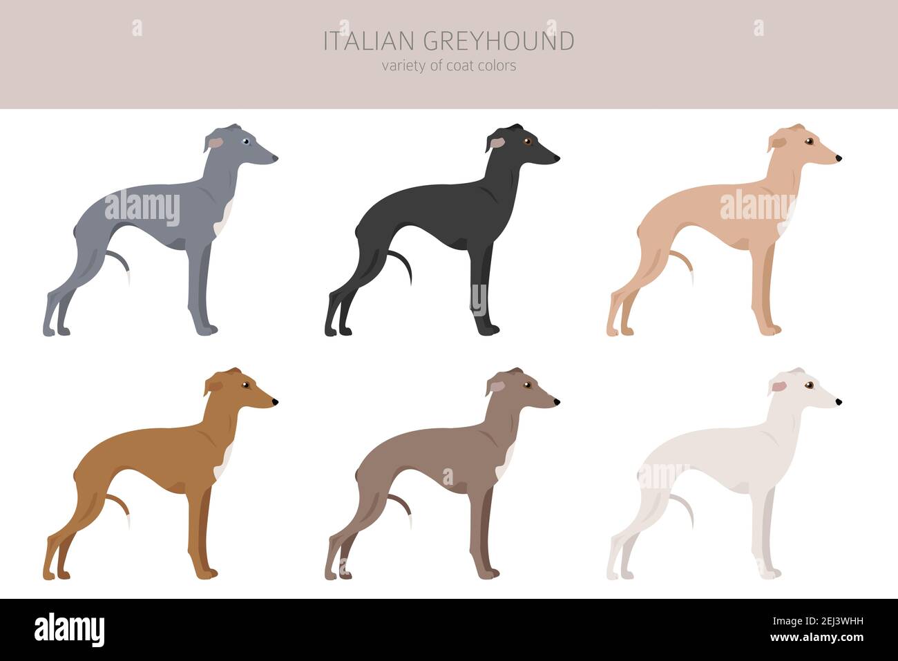 Greyhound dog silhouette clipart hi-res stock photography and images ...
