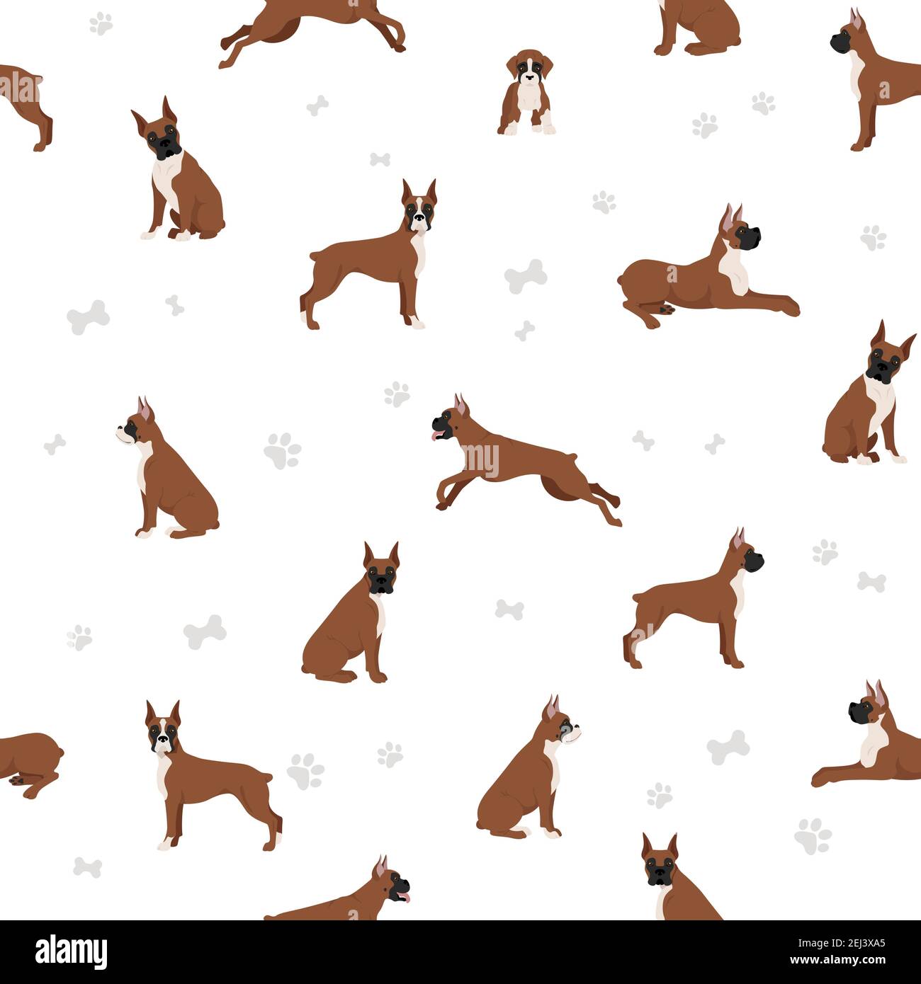 Boxer dog seamless pattern. Different poses, puppy. Vector illustration ...