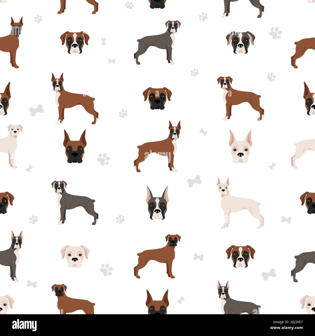 Boxer dog seamless pattern. Different poses, puppy. Vector illustration ...
