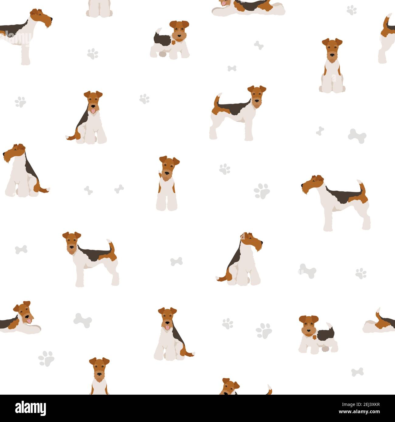 Wire hair fox terrier Stock Vector Images - Alamy