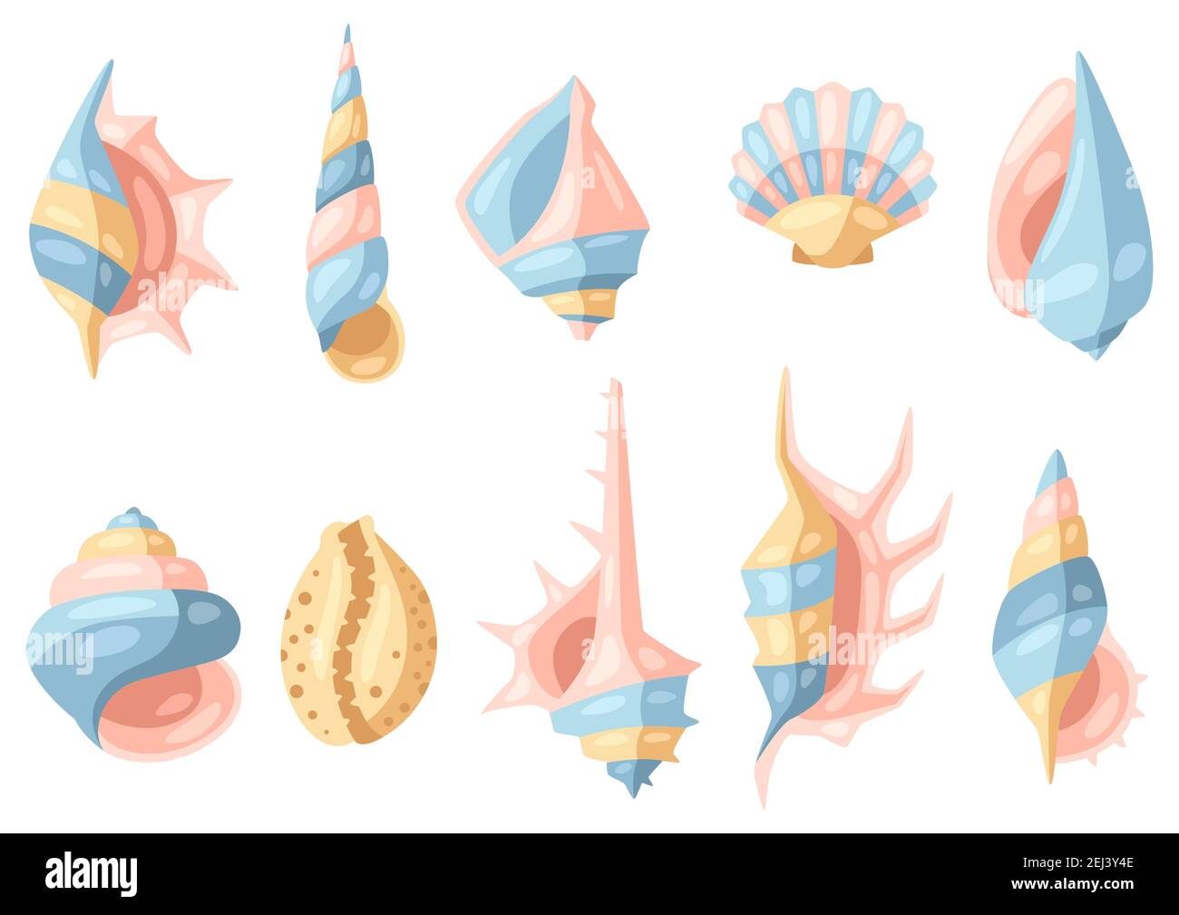 Group seashells Stock Vector Images - Alamy