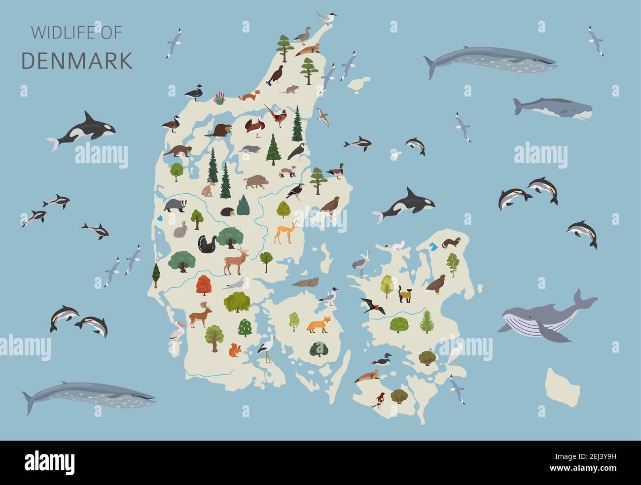 Flat design of Denmark wildlife. Animals, birds and plants constructor ...