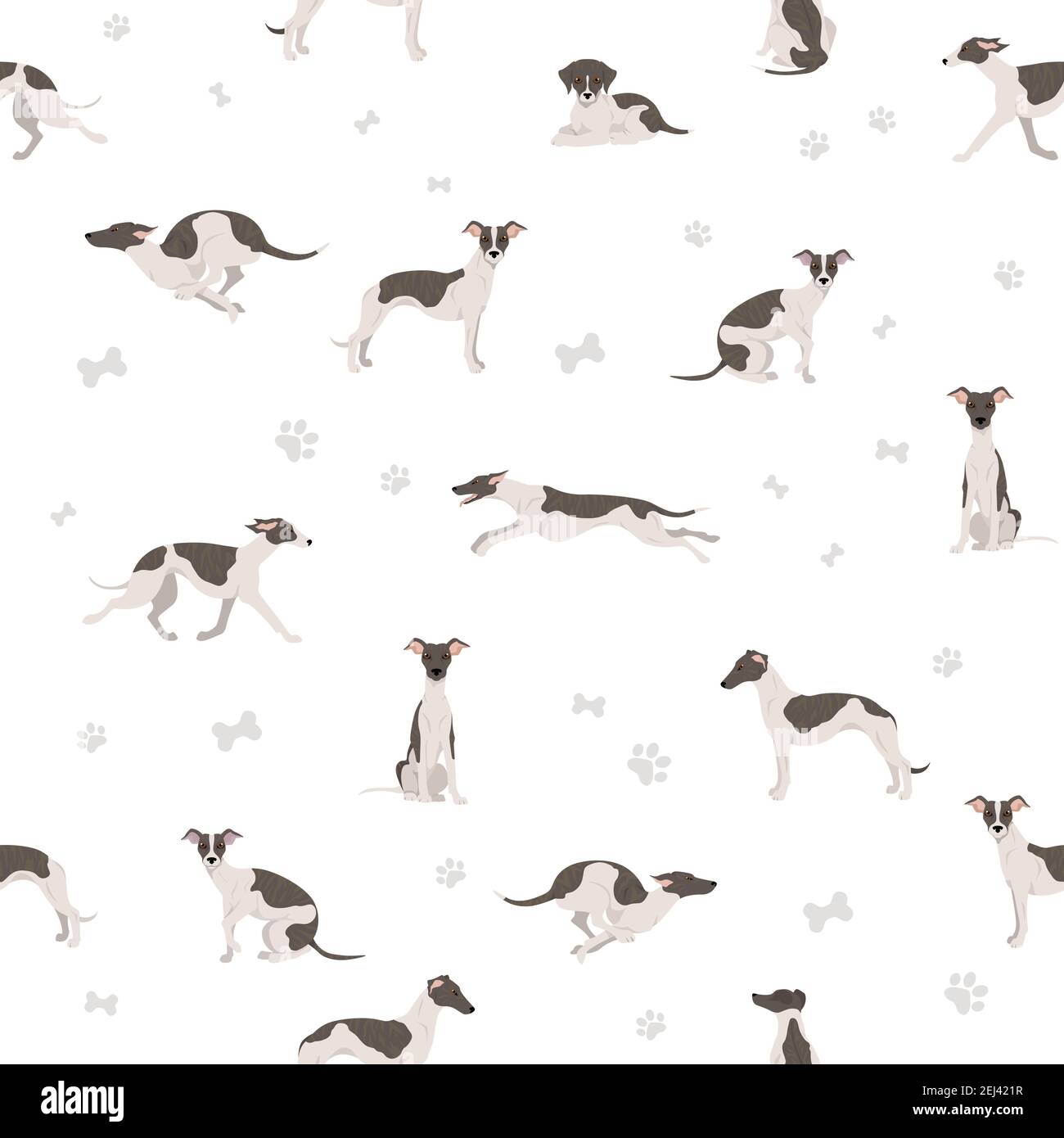 Whippet seamless pattern. Different poses, coat colors set. Vector illustration Stock Vector ...