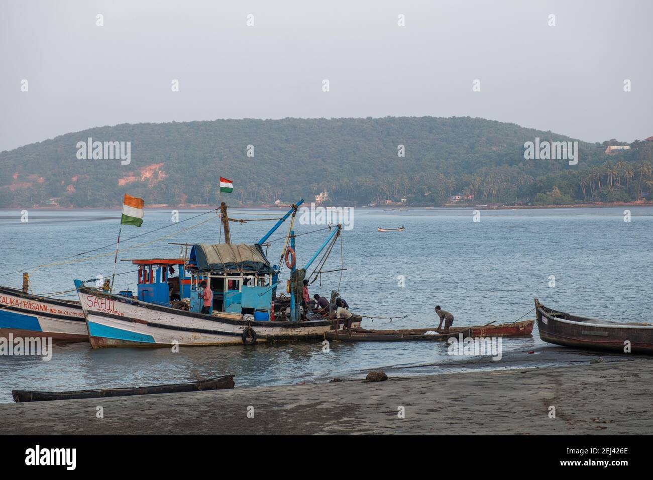 Chapora Fish Market in GOA, India Stock Photo - Alamy