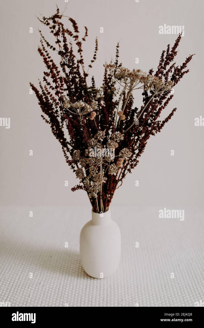 Dried flowers vase hi-res stock photography and images - Alamy