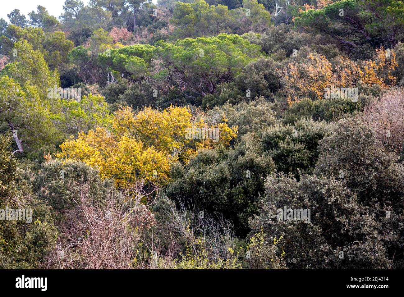 Diferentes tonalidades hi-res stock photography and images - Alamy