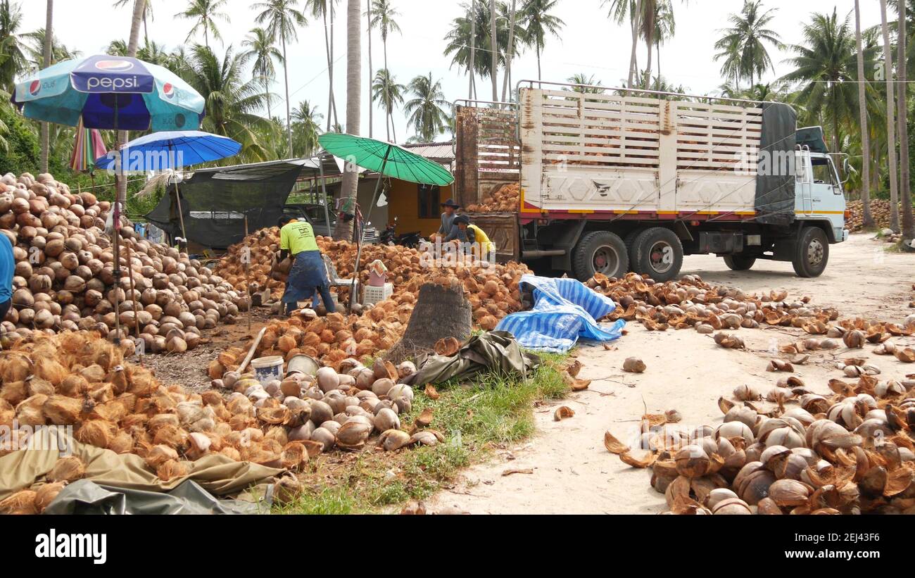 KOH SAMUI ISLAND, THAILAND - 1 JULY 2019: Asian thai men working on ...