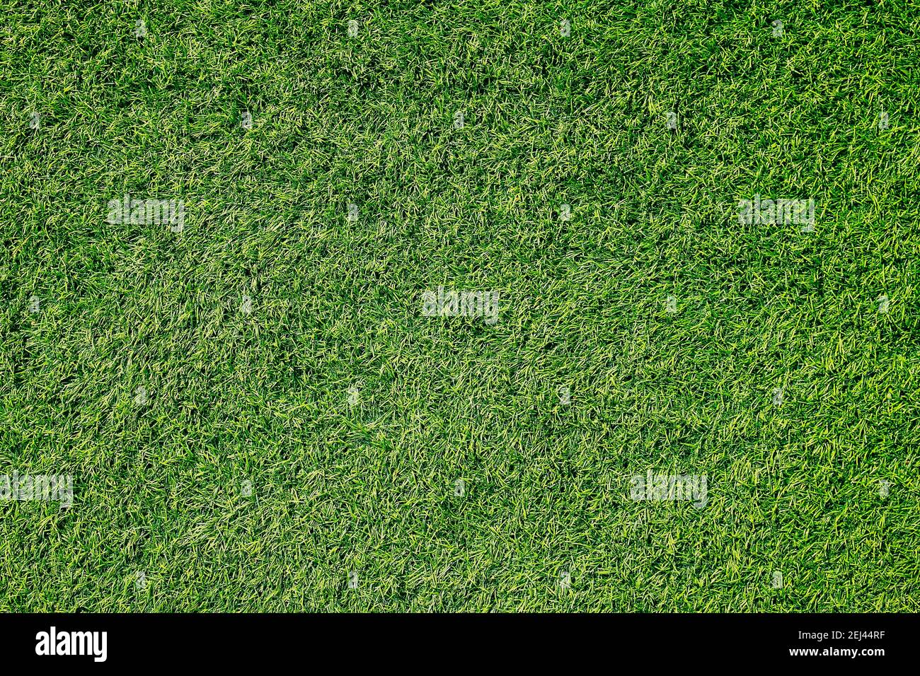 Artificial Green grass texture background Stock Photo - Alamy