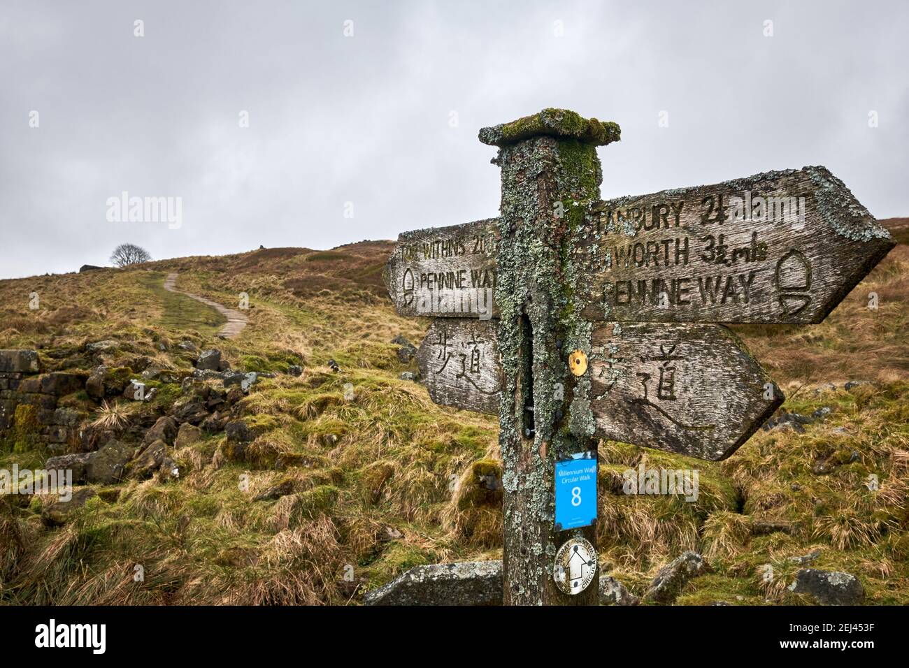 Moors Of Wuthering Heights