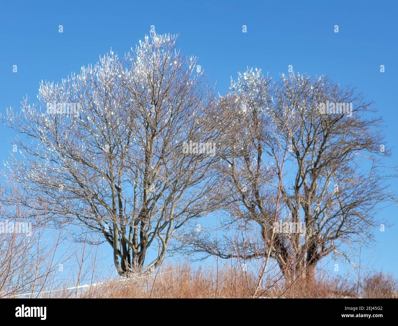Ice cape elizabeth hi-res stock photography and images - Alamy