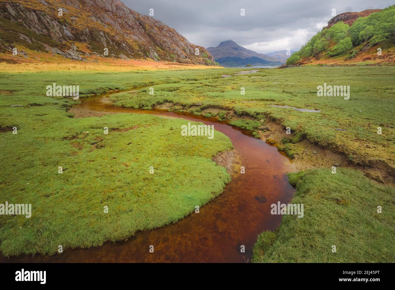 View out to Loch Nevis from the remote, rugged Scottish Highlands ...