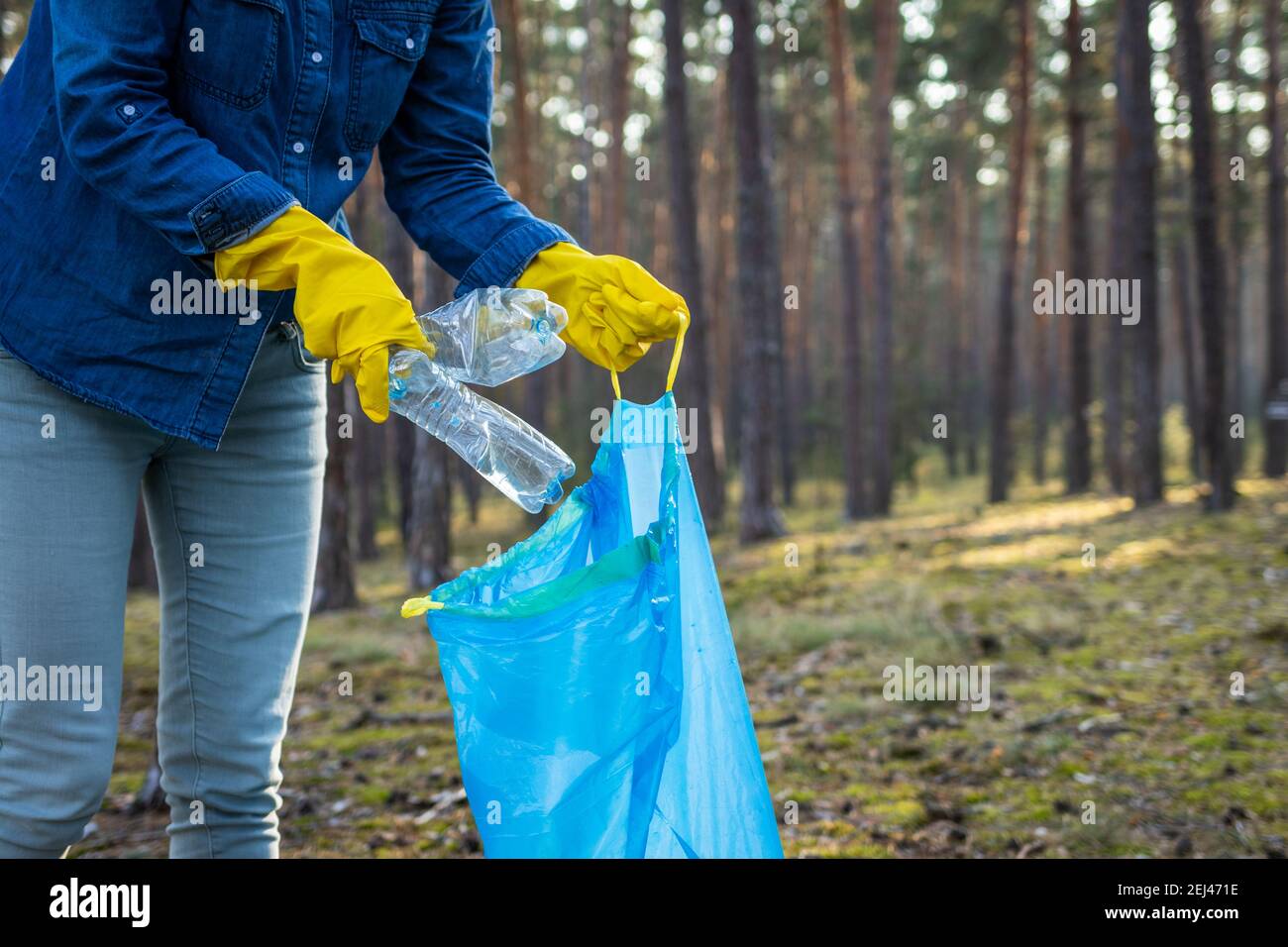 Save the planet! Volunteer cleaning plastic garbage in nature ...