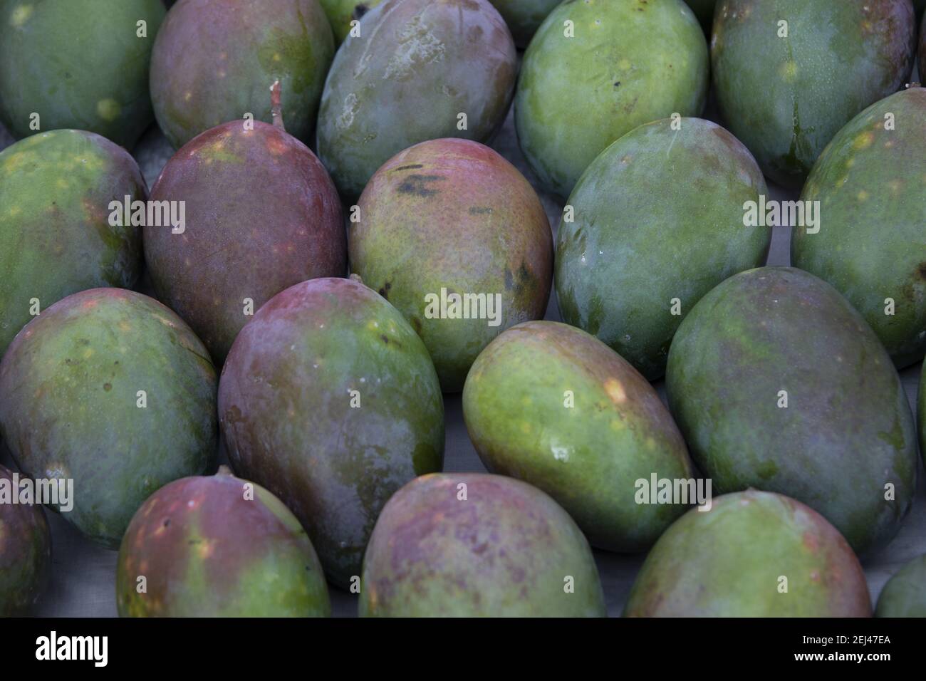 A high angle shot of fresh mangos on sale in the fruit market Stock ...