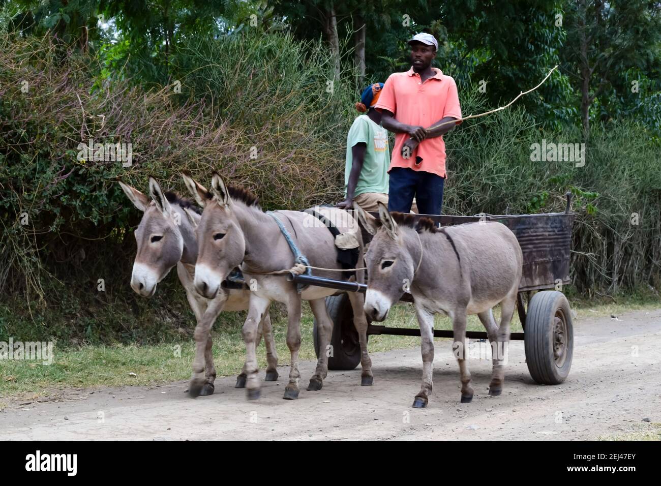 Ranch agricole hi-res stock photography and images - Alamy
