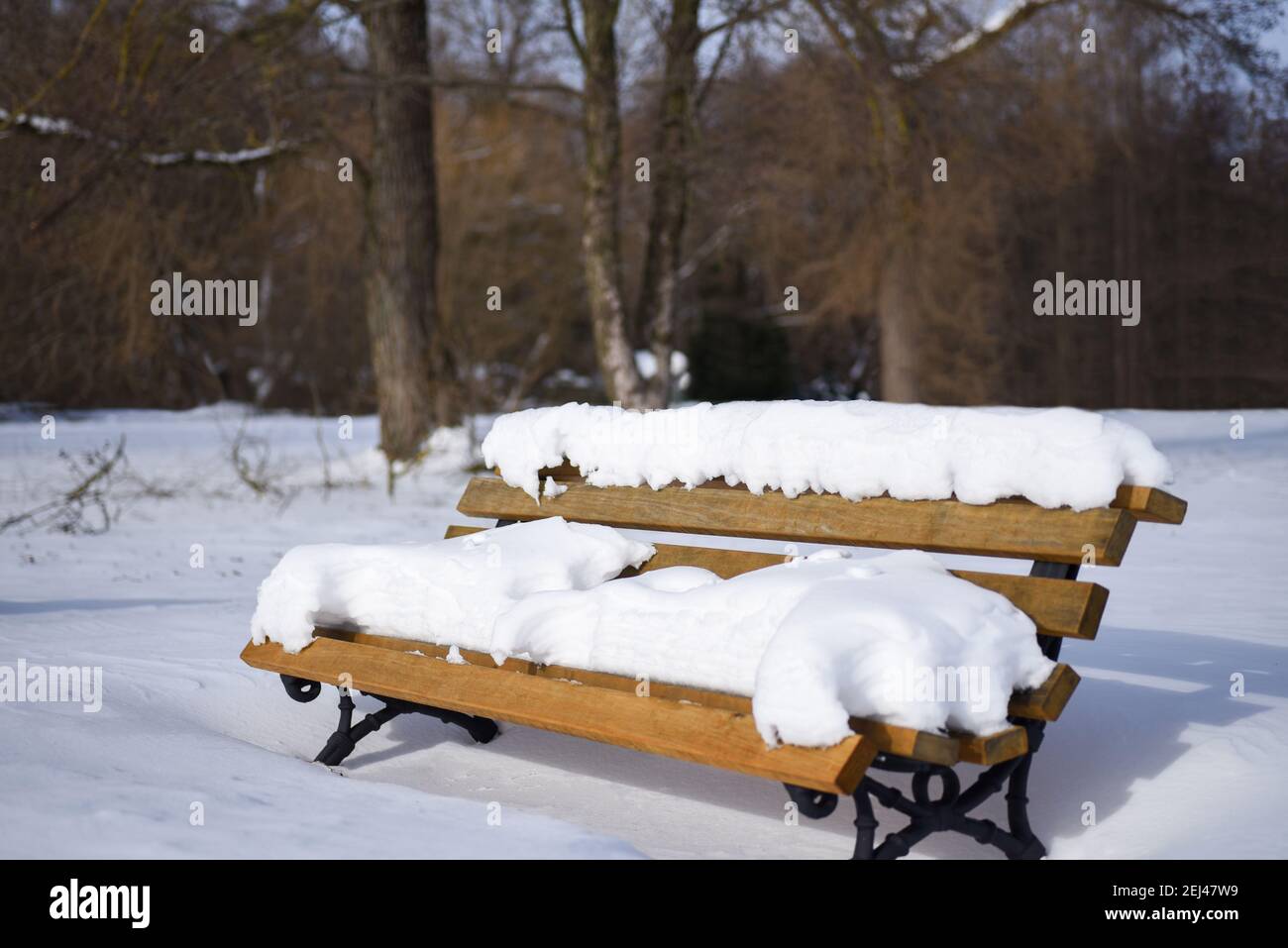 Wooden bench in the snow in a winter park Stock Photo - Alamy