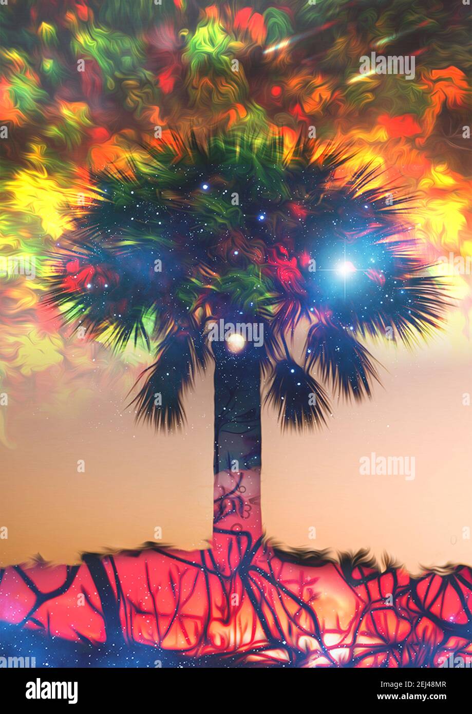 Trippy Tree High Resolution Stock Photography and Images - Alamy