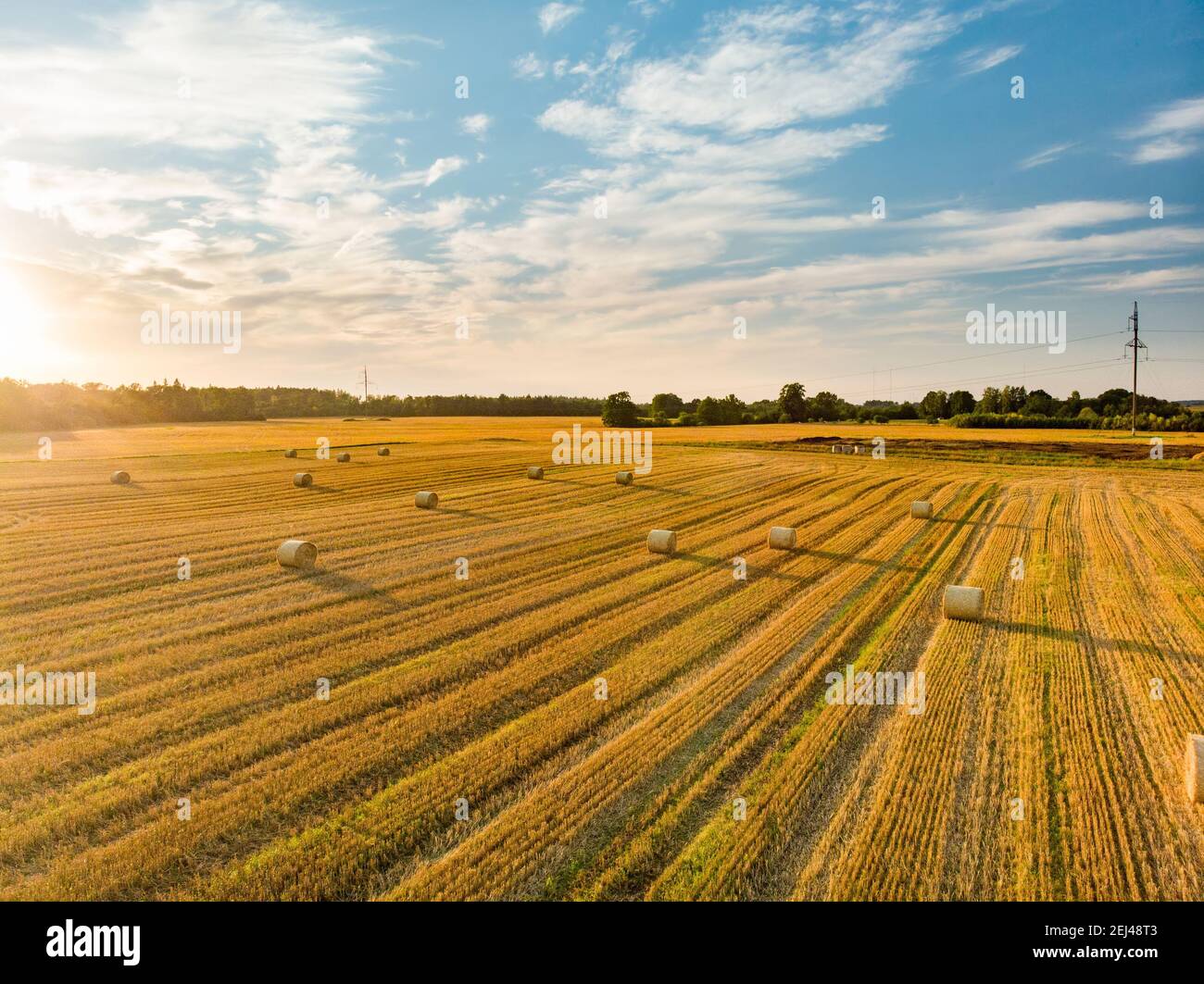 Aerial view of agricultural parcels of different crops. Hay bale fields ...