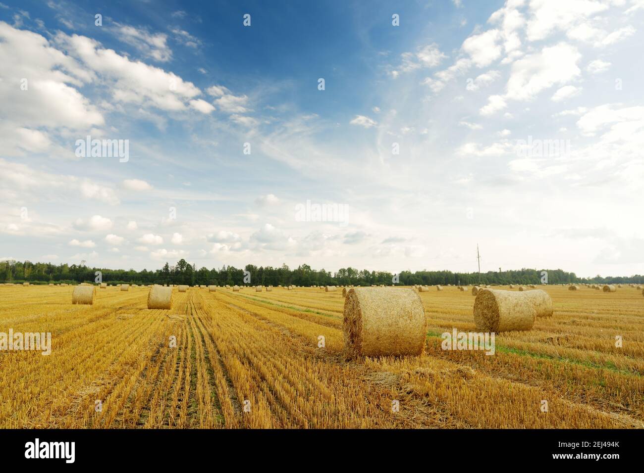 Different crops hi-res stock photography and images - Alamy