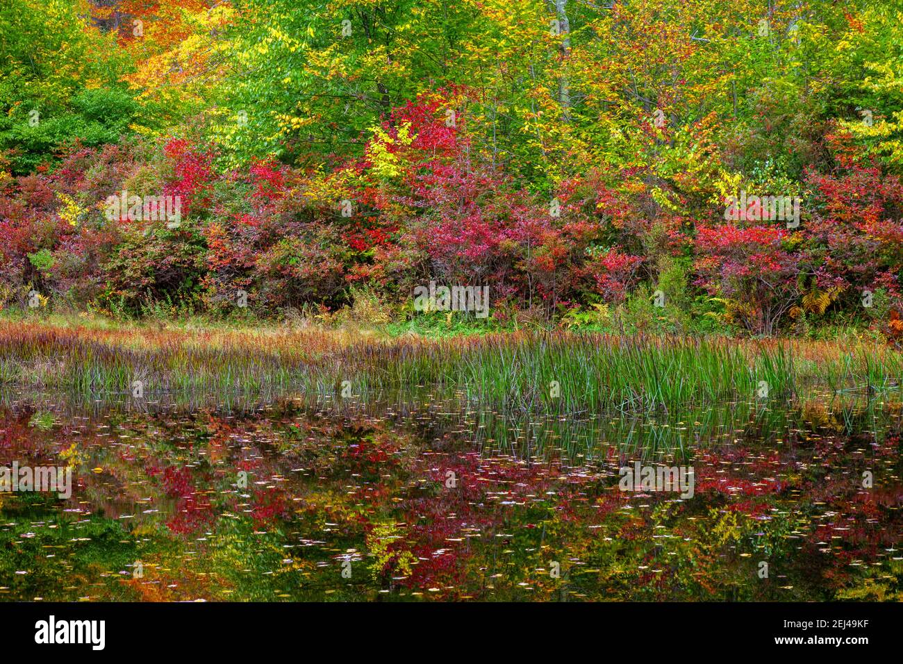 Human made pond hi-res stock photography and images - Alamy