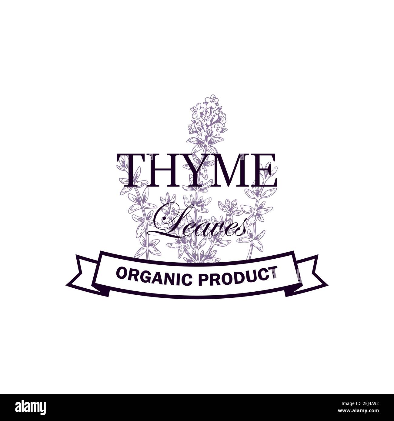 Thyme essential oil logo with hand drawn elements. Vector illustration ...