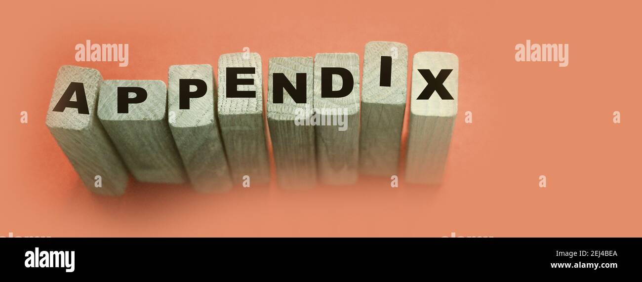 appendix word written on wood block. appendix text on table, concept ...