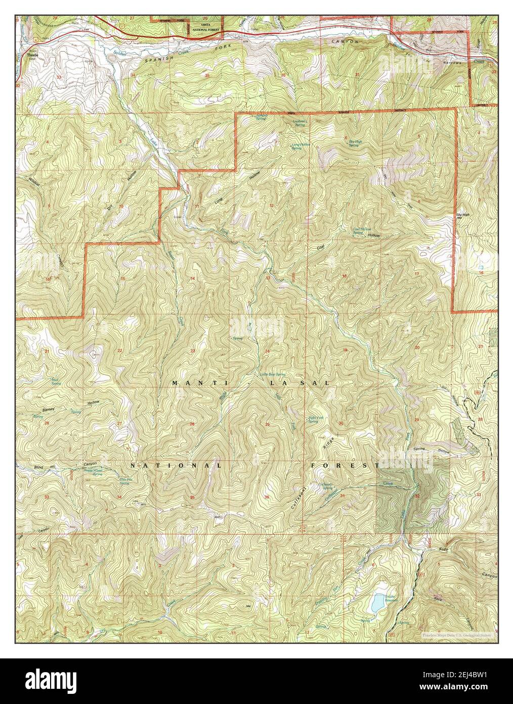 Thistle Illustration High Resolution Stock Photography and Images - Alamy