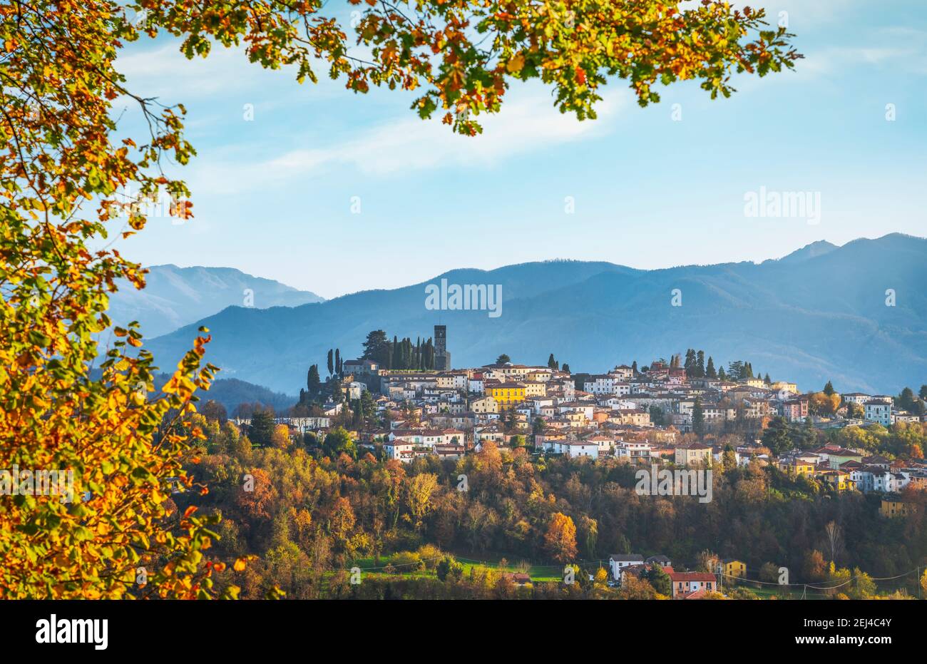 Trekking forest frame hi-res stock photography and images - Alamy