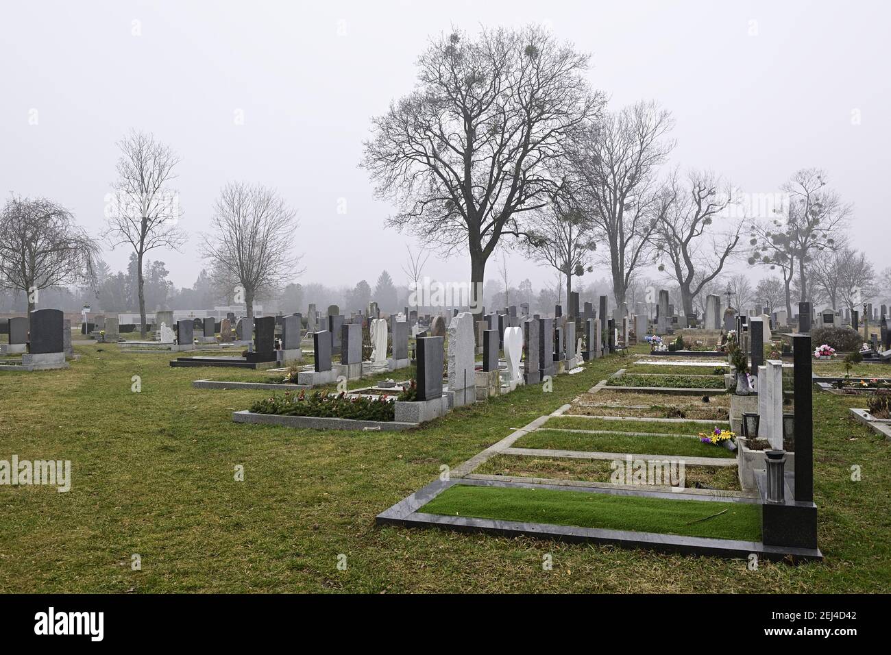 Fog cemetery hi-res stock photography and images - Alamy