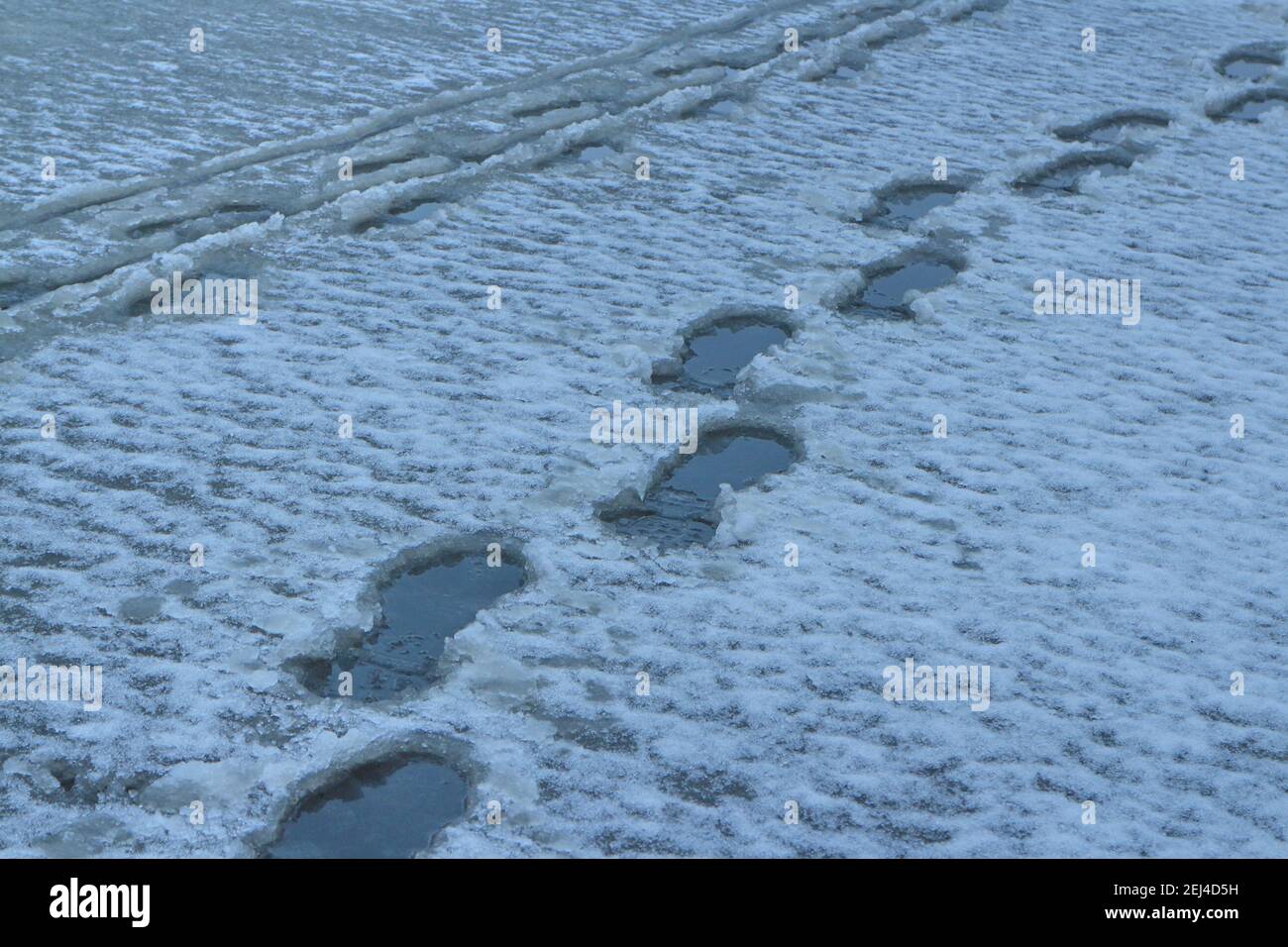 thaw in winter human footprints in wet snow Stock Photo - Alamy