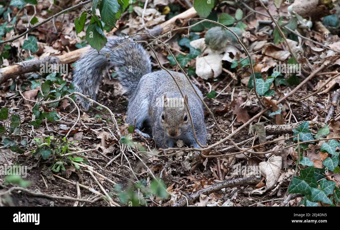 Rummaging hi-res stock photography and images - Alamy