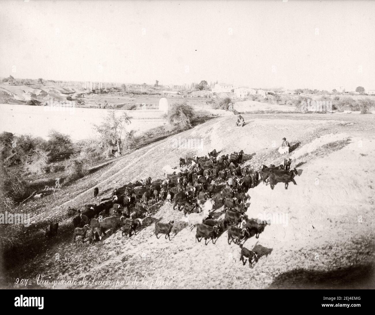 View of Jericho, Holy Land, Palestine, now West Bank, c.1890's with ...
