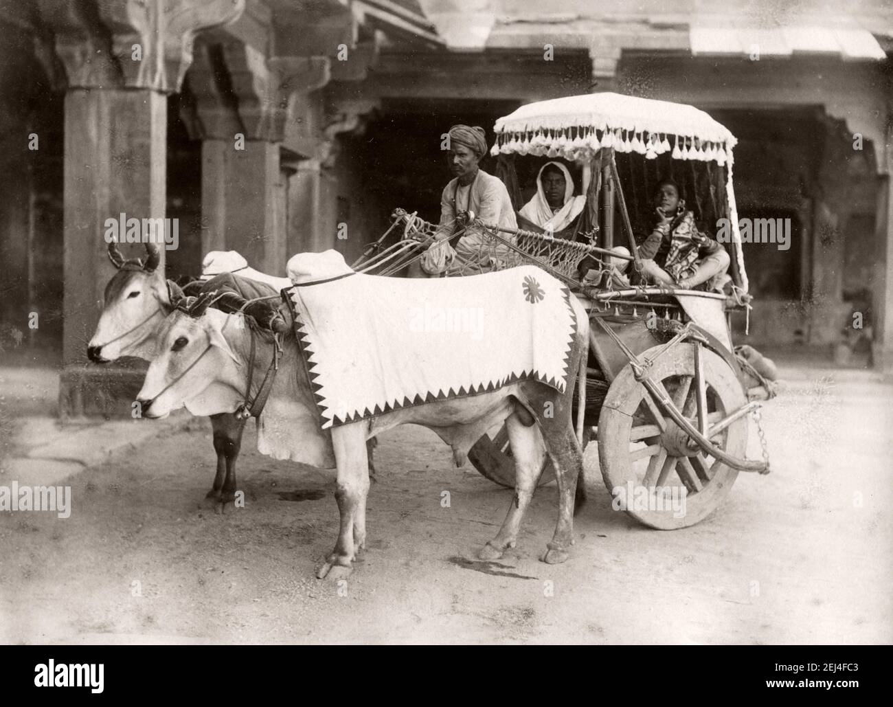 Bullock cart, carriage, ekka, India, c.1890's Stock Photo - Alamy