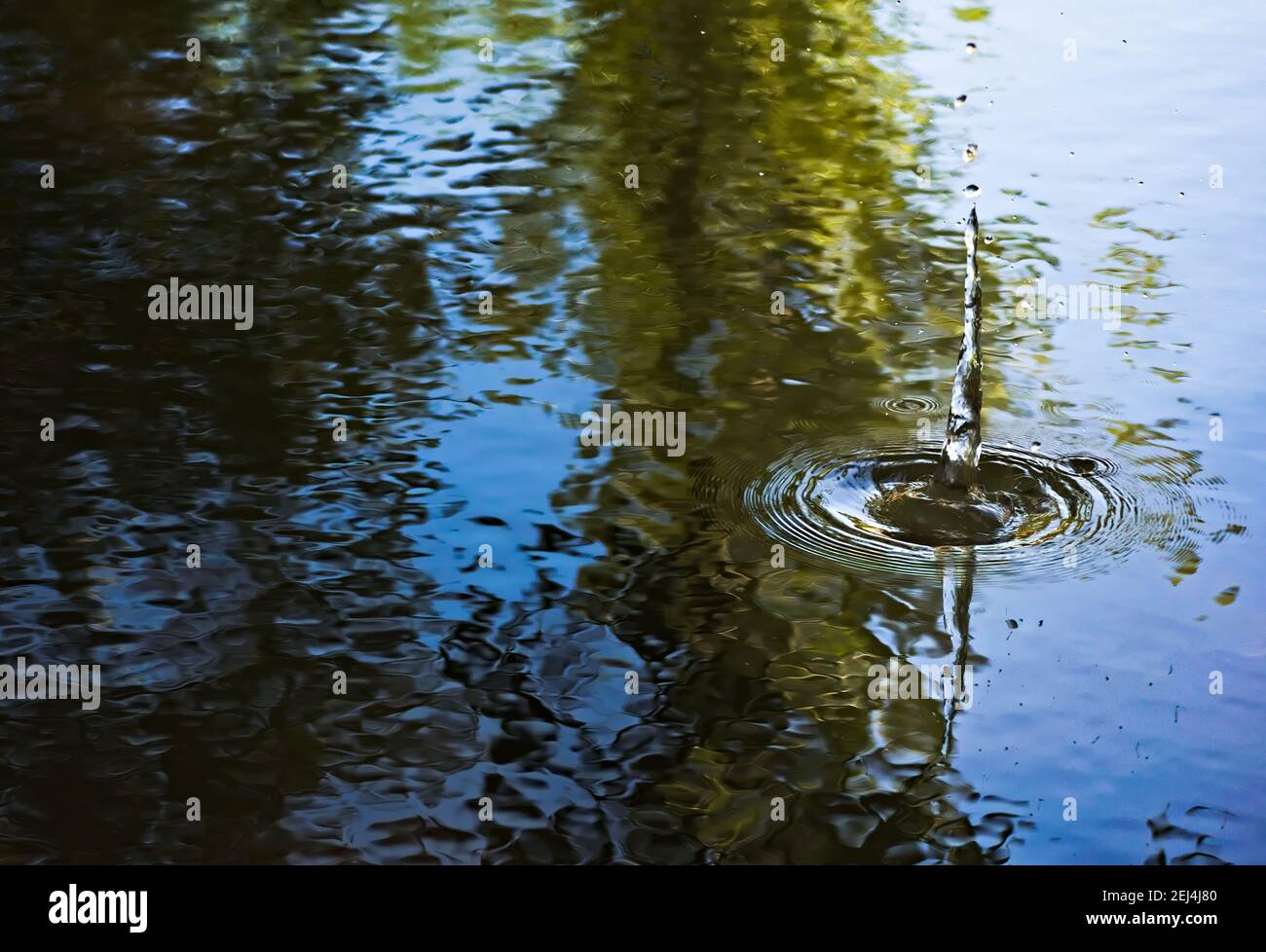 Splash and ripples on calm, clear water of a pond with reflections of ...