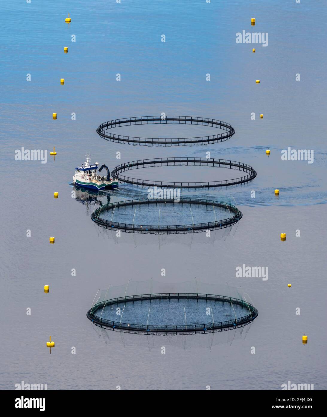 Aquaculture, fish farm in a fjord, Nordland, Norway Stock Photo - Alamy