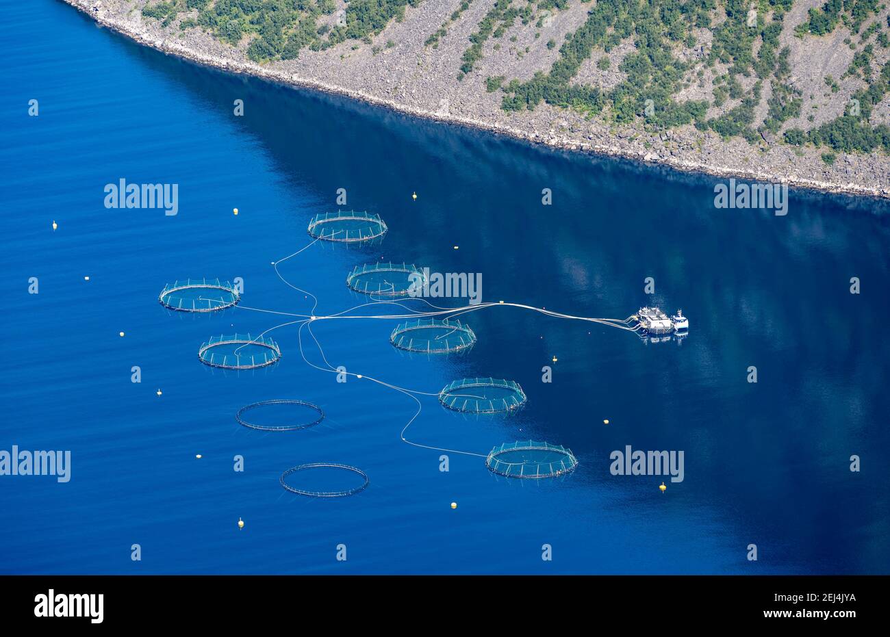 Aquaculture, fish farm in a fjord, Nordland, Norway Stock Photo - Alamy