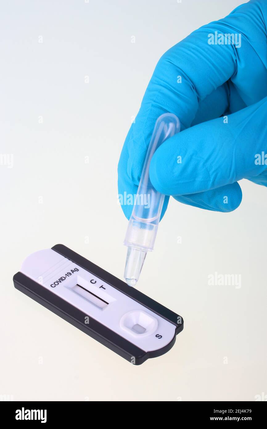 Covid 19 PCR Rapid Test, Corona, test solution is dropped onto sample ...