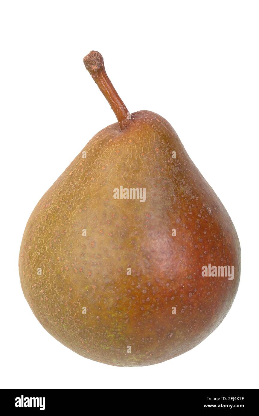 Madame Verte pear variety, cutout Stock Photo - Alamy