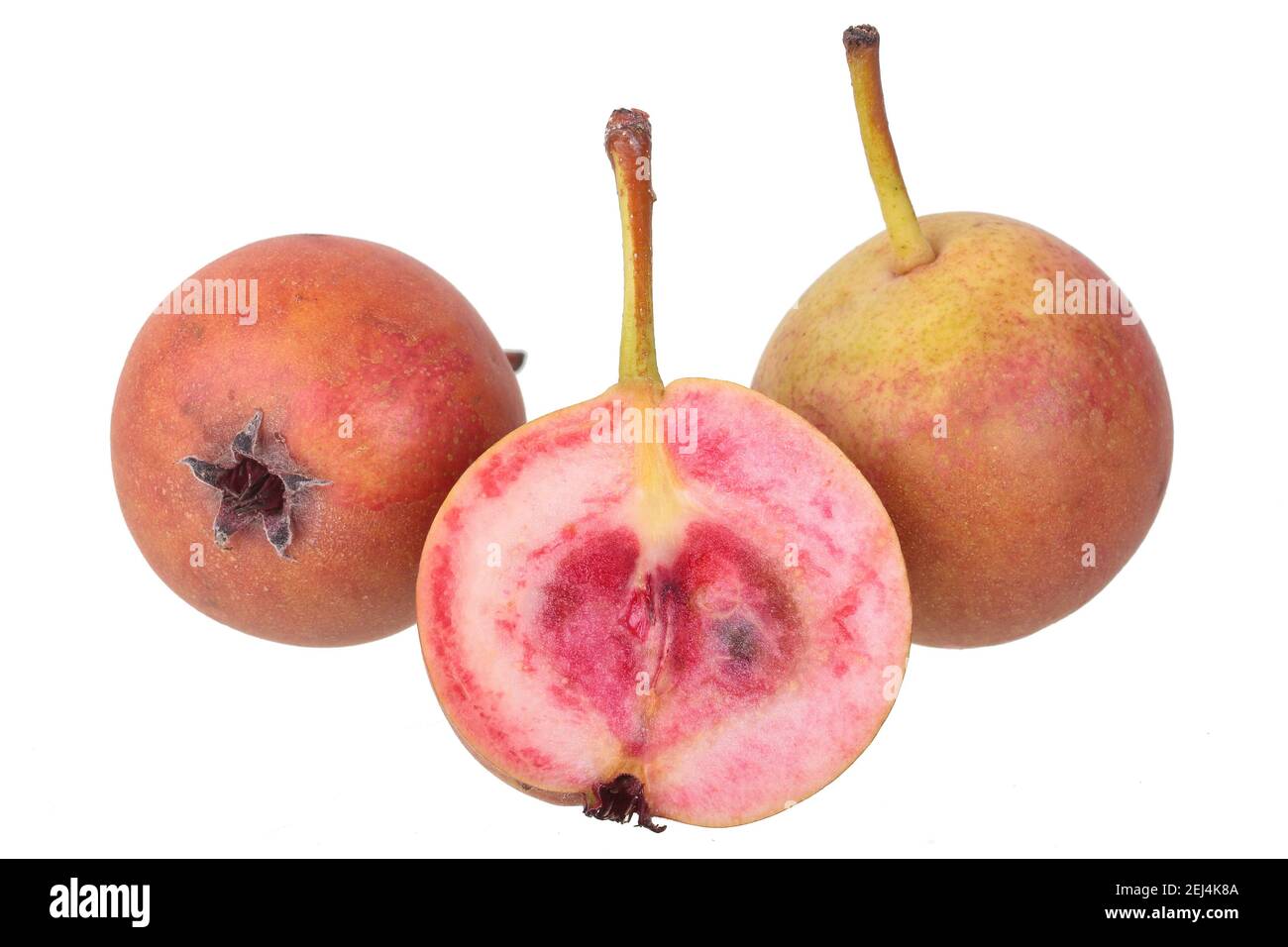 Pear variety Summerblood pear, free-standing Stock Photo - Alamy