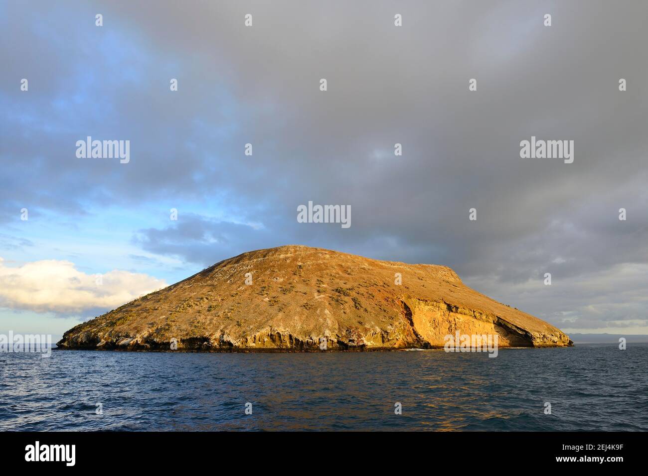 Daphne islands hi-res stock photography and images - Alamy