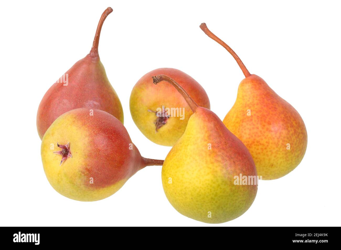Pear variety Roman lard pear, free variety Stock Photo - Alamy