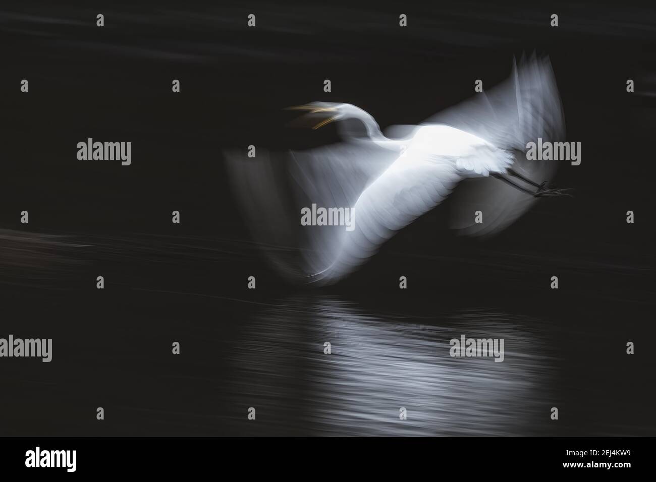 Motion blur wings hi-res stock photography and images - Alamy