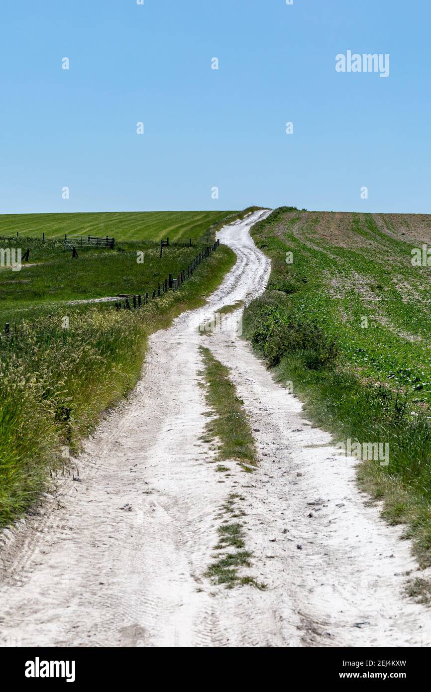 A chalk pathway through farmland in the South Downs Stock Photo - Alamy