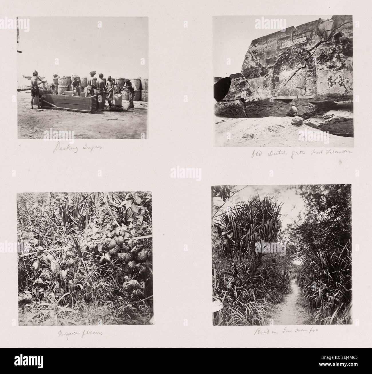 John Thomson (14 June 1837 – 29 September 1921) Scottish photographer ...