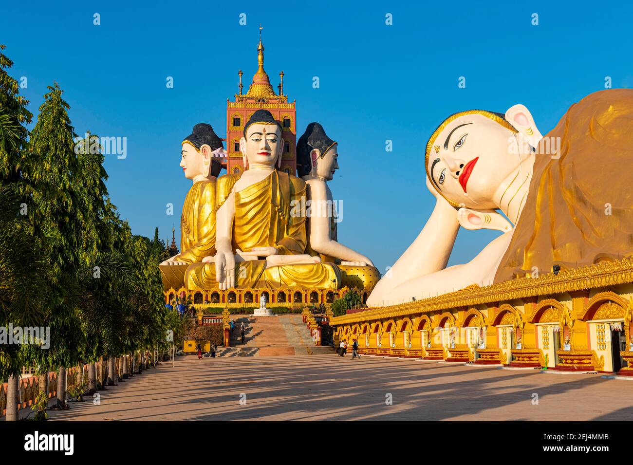 Pupawadoy hi-res stock photography and images - Alamy