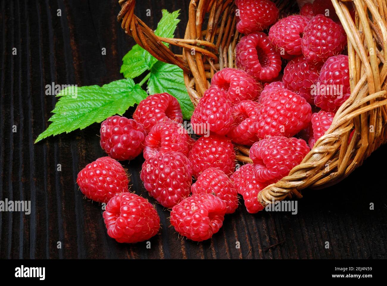 European Red Raspberries (Rubus idaeus Stock Photo - Alamy